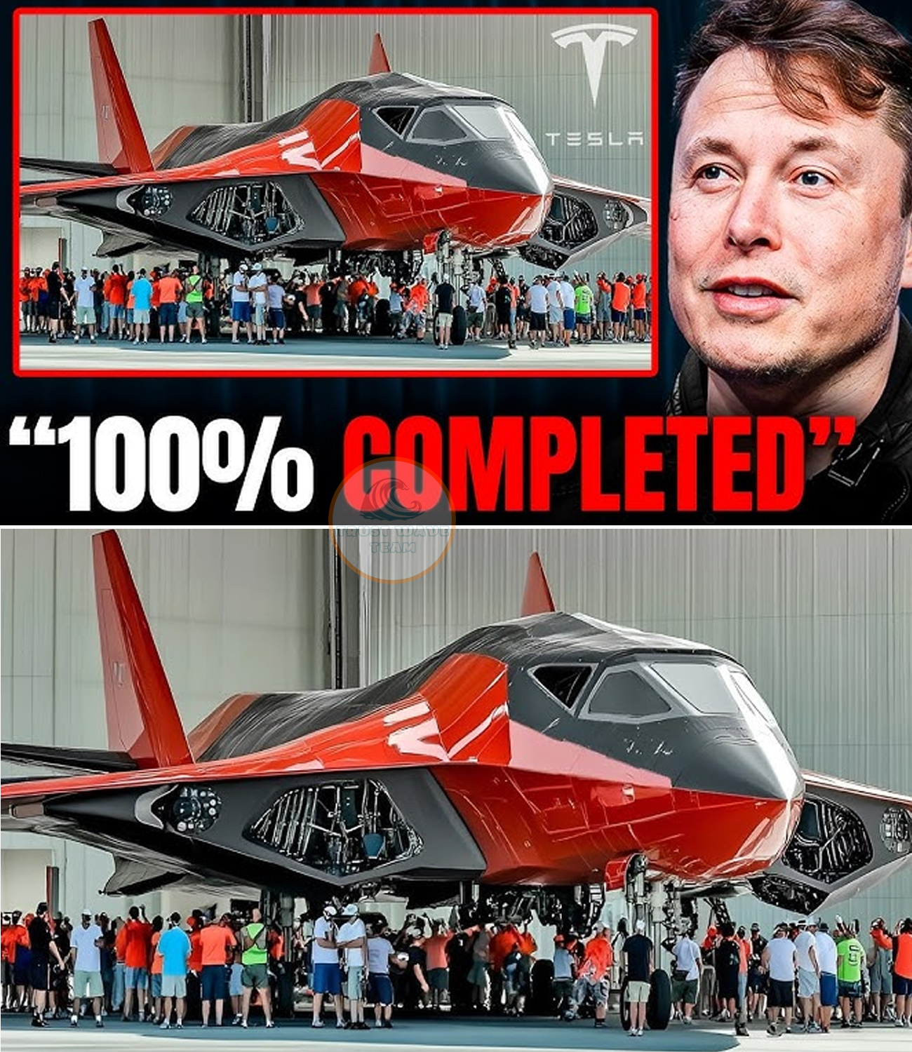 Elon Musk Unveils Groundbreaking $13 Billion Tesla Plane, With Special ...